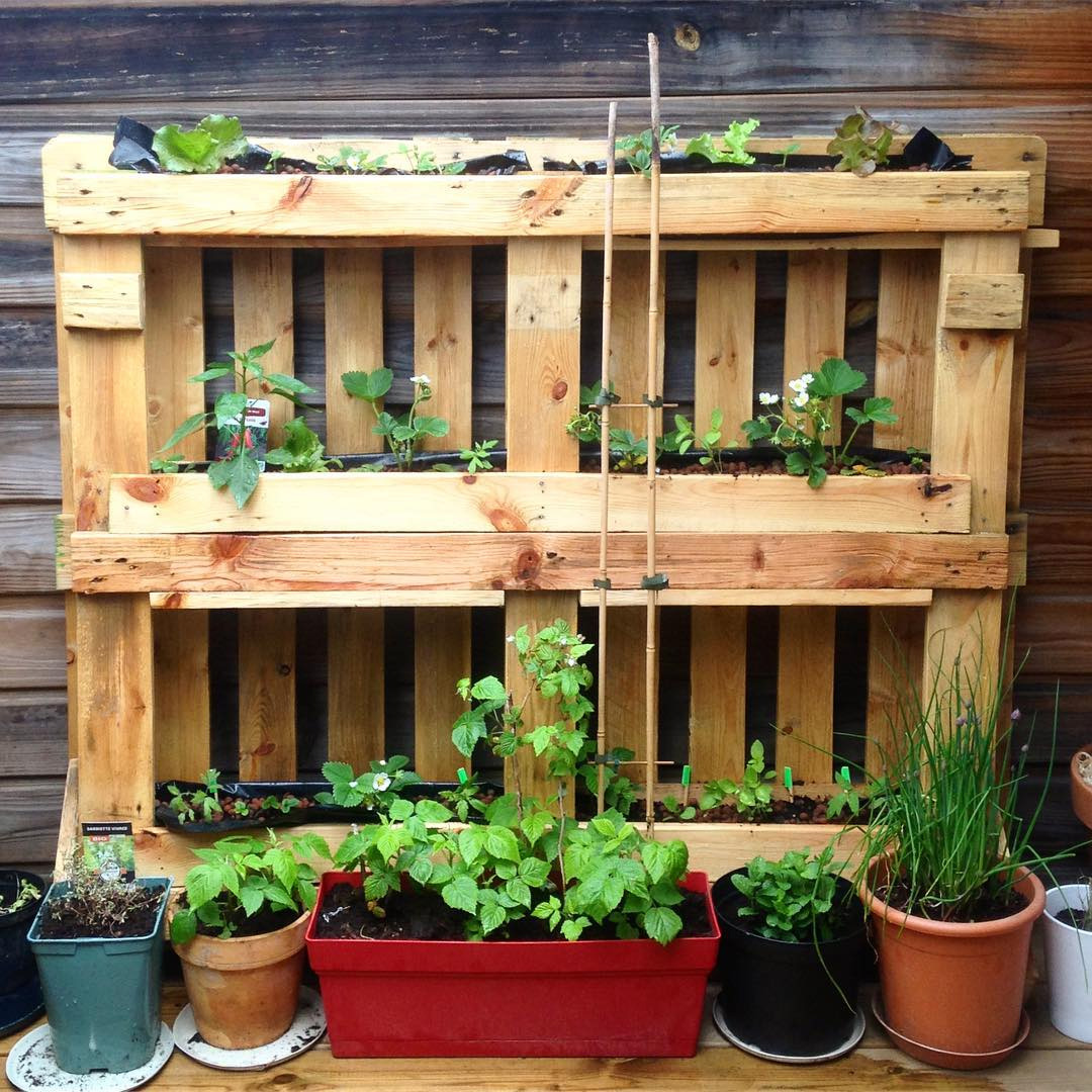 Get Inspired by These Creative Pallet Garden Ideas - Home Gardening Online